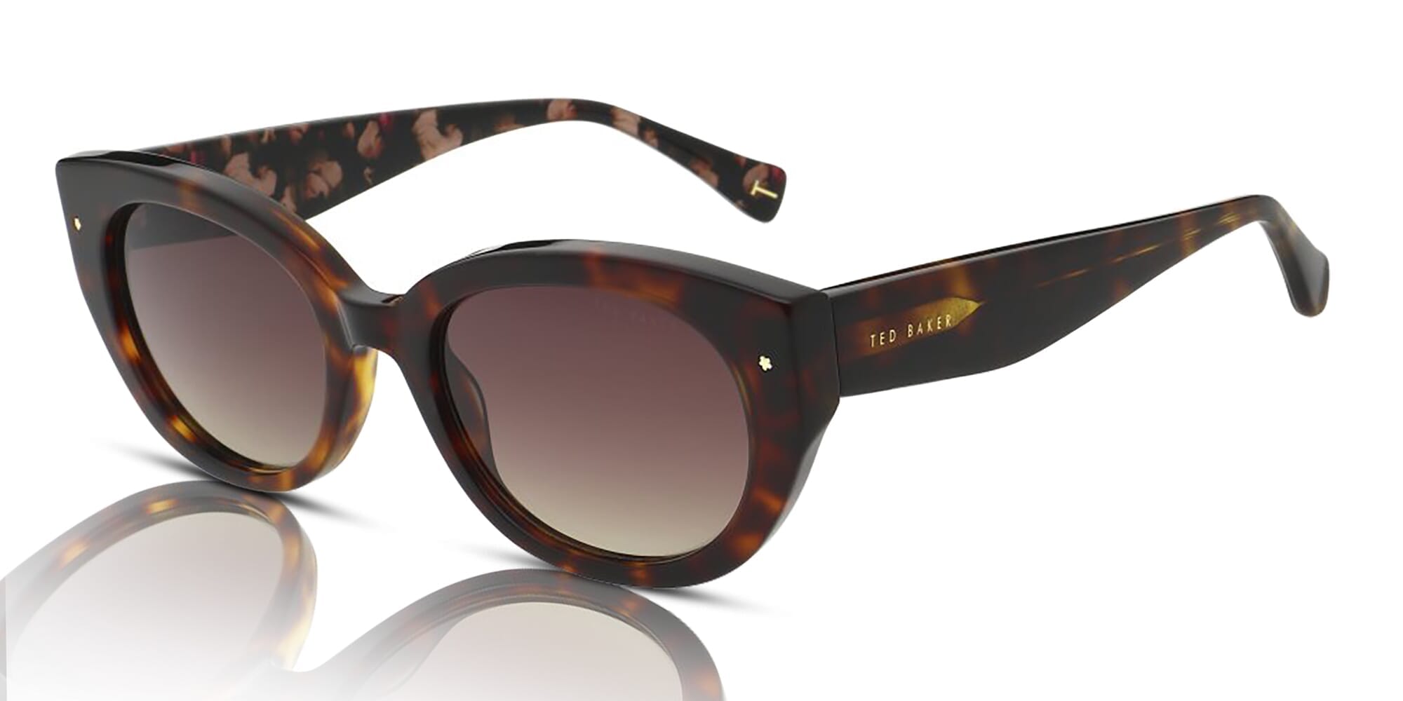 Ted Baker Isla TB1737 Women's Sunglasses 100 Gloss Tortoise/Brown ...